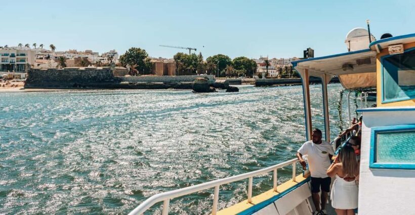 Morning Coastal Cruise - The Sum Up: Why This Tour Is a Solid Choice