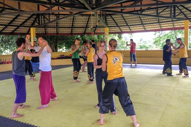 Morning Course - Shaolin Kung Fu and Qigong Training - An Authentic Introduction to Shaolin Martial Arts