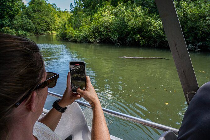 Morning Daintree Tour with River Cruise from Port Douglas - Final Thoughts: Is It Worth It?