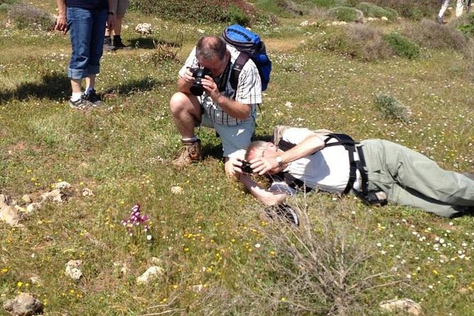 Morning excursions Etna / Etna Morgen Tour - Discovering Mount Etna: An Honest Look at the Morning Excursion