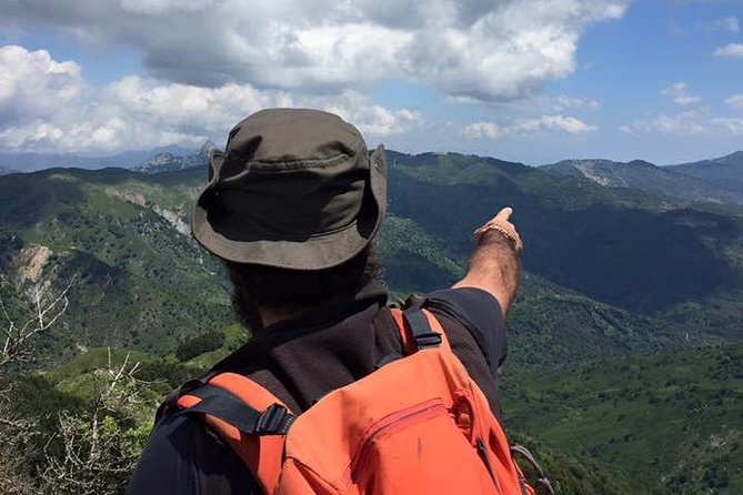 Morning excursions Etna / Etna Morgen Tour - Final Thoughts: Who Will Love This Tour?