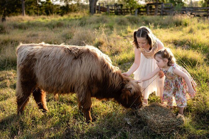Morning Farm Experience near Gympie & Noosa - A Farm Tour That Offers More Than Just Petting Animals