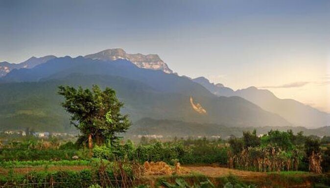 Morning food tour with market Temples option Kuangsi waterfall - Key Points
