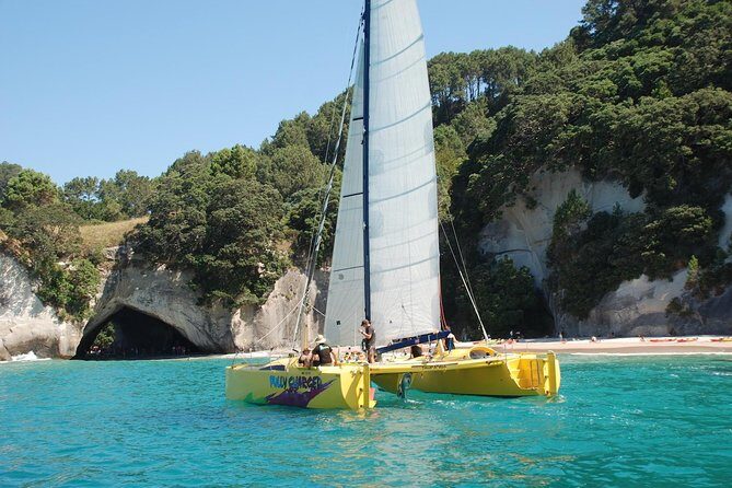 Morning Glory Chilled out Sail (3.5hrs) - Who Will Enjoy This Tour?