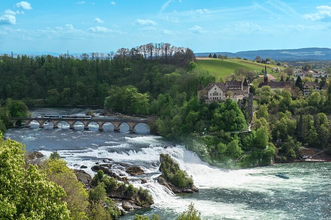 Morning Group Tour to Rhine Falls - Accessibility and Participation