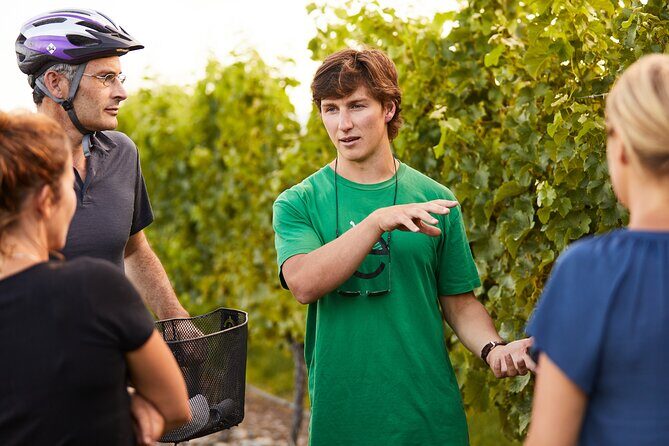 Morning Guided with Afternoon Self-Guided Biking Wine Tour - Exploring Marlborough’s Wineries: A Unique Blend of Guided and Self-Guided Biking
