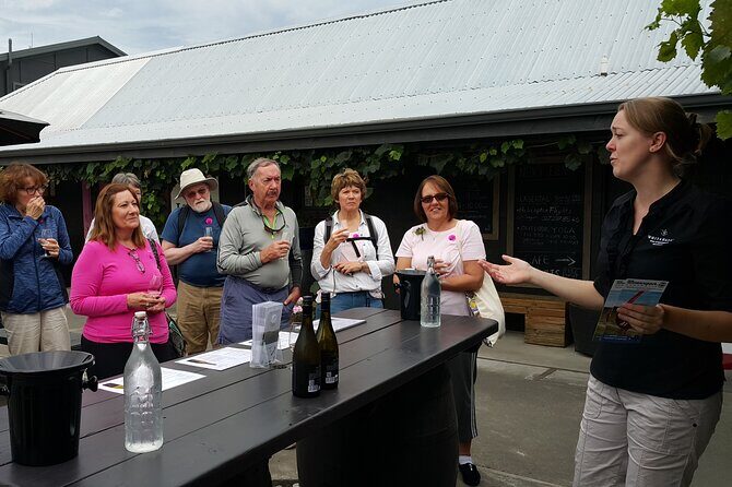 Morning Guided with Afternoon Self-Guided Biking Wine Tour - FAQ