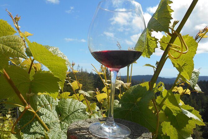 Morning Half Day Carmel Valley Wine Tasting Tour - The Itinerary: What to Expect at Each Stop