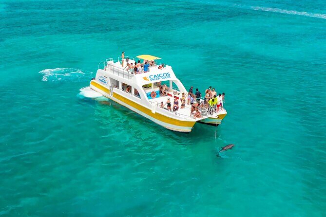 Morning Half Day Cruise from Providenciales with Snorkeling and Iguana Island - The Sum Up