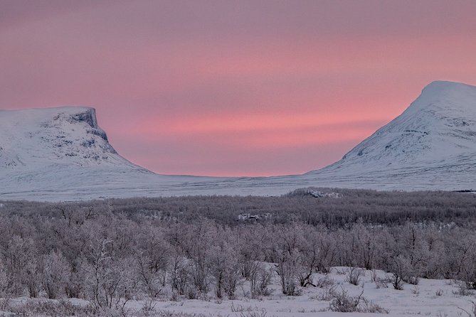 Morning Hike in Abisko National Park - Whats Included in the Tour