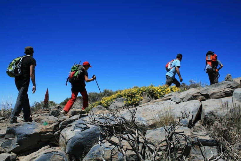 Morning Hike to Kunjapuri Temple for a Magical Sunrise - An In-Depth Look at the Sunrise Trek Experience