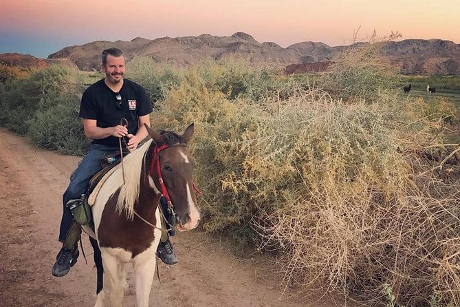 Morning Horseback Ride with Breakfast from Las Vegas - The Sum Up: Who Is This Tour Best For?
