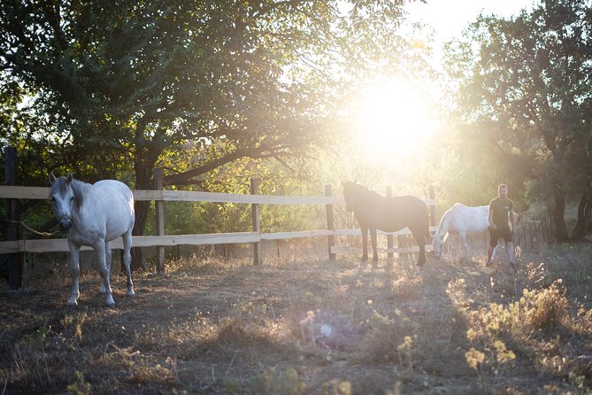 Morning Horseback Tour in Meteora with Monastery Ypapanti - FAQ