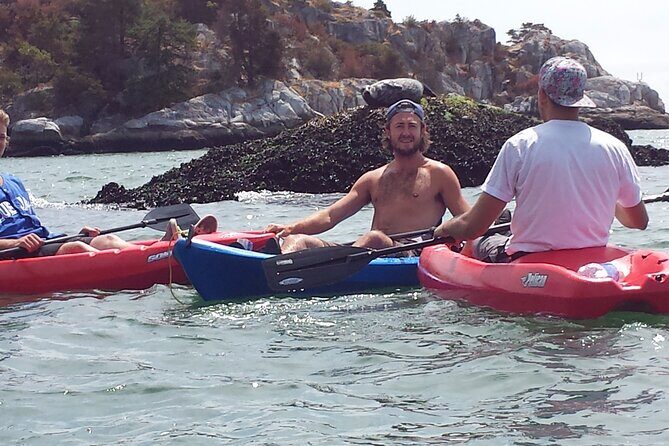 Morning Kayak & Seal Cruise - The Itinerary Breakdown