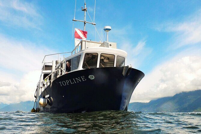 Morning Kayak & Seal Cruise - FAQ
