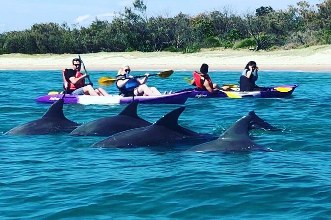 Morning Kayaking and Snorkeling Tour - Key Points