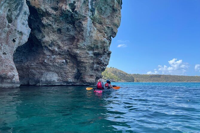 Morning Kayaking Tour to Little Bay - Analyzing the Value and Overall Impression