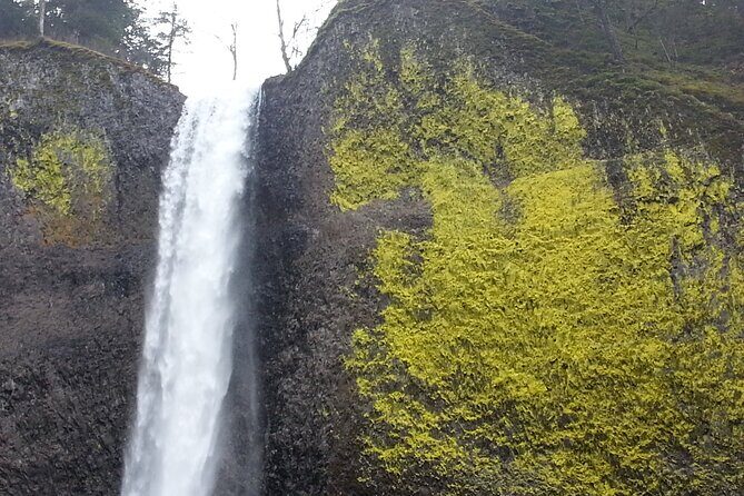 Morning Multnomah Falls and Gorge Waterfalls Tour - Final Thoughts: Who Should Consider This Tour?
