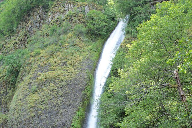 Morning Multnomah Falls and Gorge Waterfalls Tour - FAQs