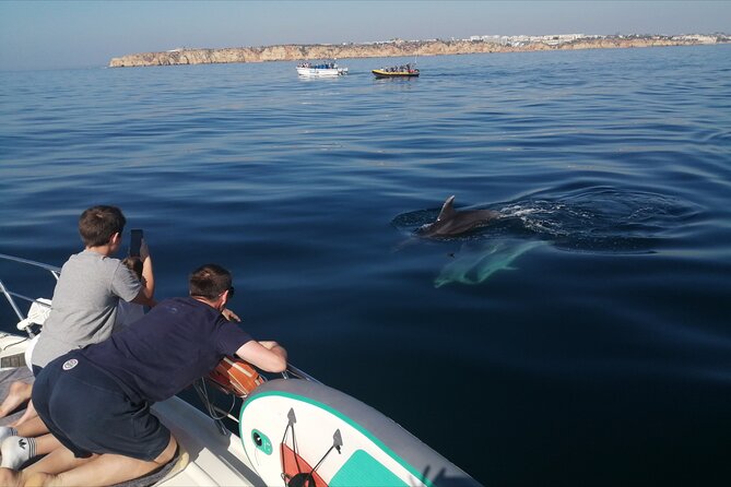 Morning private charter with drinks tapas, paddle boards &kayak - Who should consider this tour?