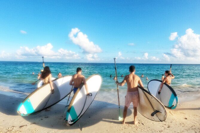 Morning Session - All Levels Paddleboard Group Caribbean Sea - The Sum Up: Who Is This Tour Best For?