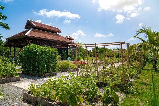 Morning Session - Thai Cooking Class in Traditional Pavilion with Beautiful Farm - A Taste of Reviews: Real Experiences