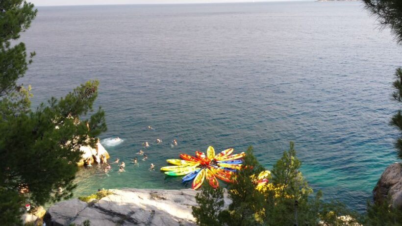 Morning Split Sea Kayaking Tour - Authentic Feedback from Participants