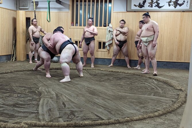 Morning Sumo Practice Viewing in Tokyo - Exclusive Access to the Wrestlers Stable