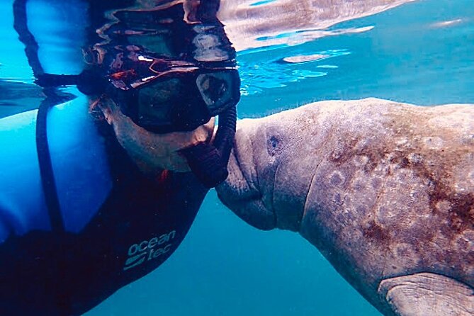 Morning Swim and Snorkel With Manatees-Guided Crystal River Tour - Snorkeling With Manatees
