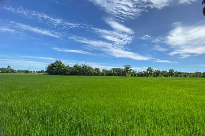 Morning Tour Bamboo Train, Ancient House, Local, Countryside - FAQ