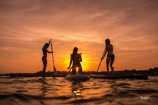 MORNING TOUR PaddleBoard or kayak - An Honest Look at the Experience
