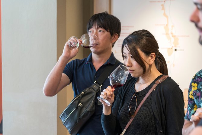 Morning Wine Tour to Chateauneuf Du Pape From Avignon - Wineries and Tastings