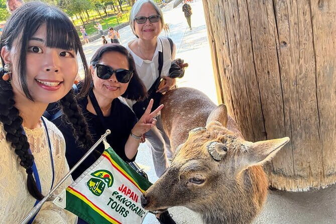 Morning Wonder World Heritage Nara Guided Tour - Key Points