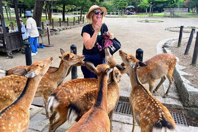 Morning Wonder World Heritage Nara Guided Tour - Who Will Love This Tour?