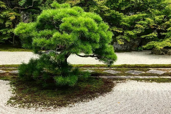 Morning Wonder World Heritage Nara Guided Tour - Final Thoughts: Is This Tour Worth It?