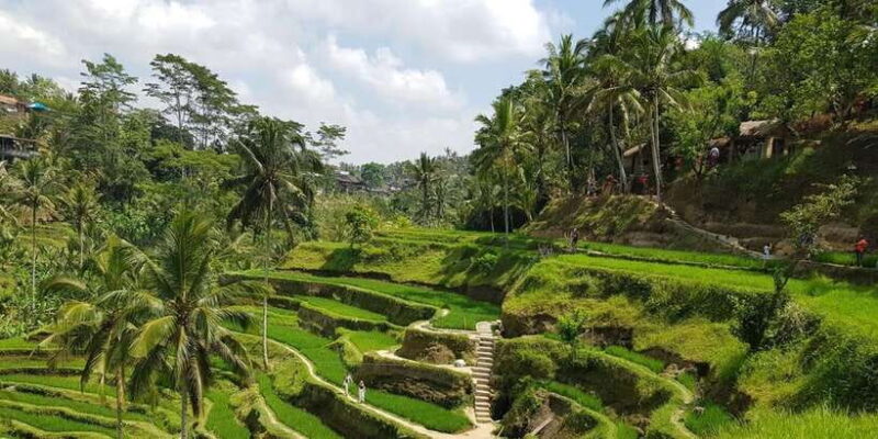 Morning Yoga Class at Heart of Ubud and Holy Bathing Ritual - Authenticity and Experience Quality