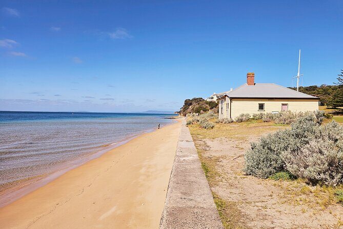 Mornington Peninsula Coastal Discovery Tour from Melbourne - Deep Dive into the Experience