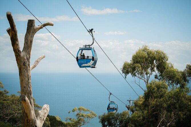 Mornington Peninsula Departure Wine and Hot Springs Tour - Key Points