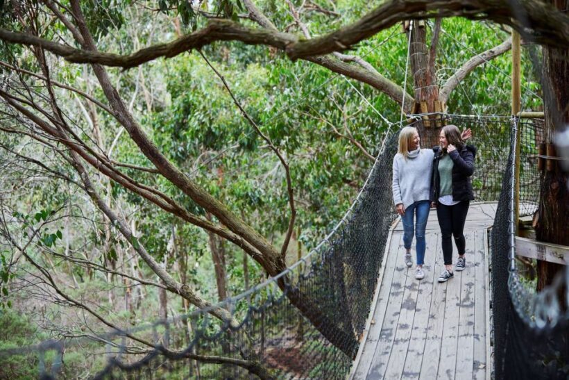 Mornington Peninsula: Enchanted Adventure General Admission - The Sum Up