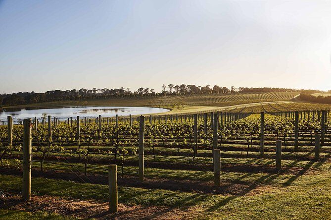 Mornington Peninsula Food and Wine Taste Trail - An In-Depth Look at the Mornington Peninsula Food and Wine Taste Trail