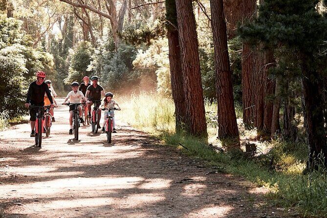 Mornington Peninsula guided e-bike tour - Introduction
