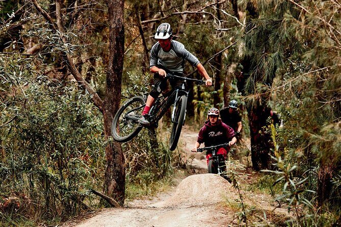 Mornington Peninsula guided e-bike tour - The Sum Up