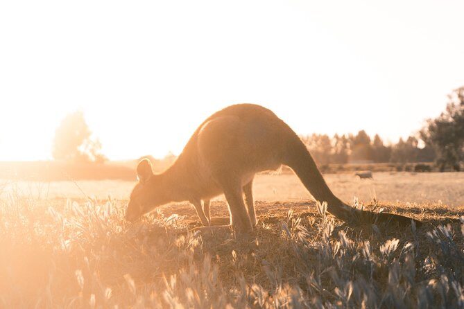 Mornington Peninsula Hike and Hot Springs Day Tour - 8 people max - FAQs