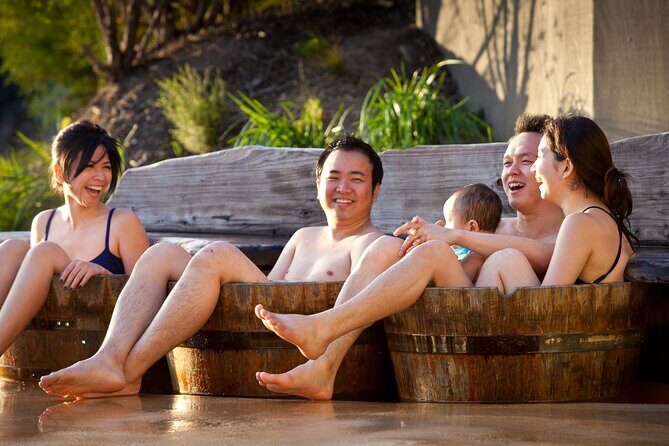 Mornington Peninsula Hot Springs Spa Day Tour from Melbourne - Who Is This Tour Best For?