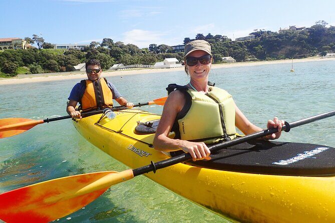 Mornington Peninsula Kayak Coastline Tour of Dolphin Sanctuary - Detailed Look at the Mornington Peninsula Kayak Coastline Tour
