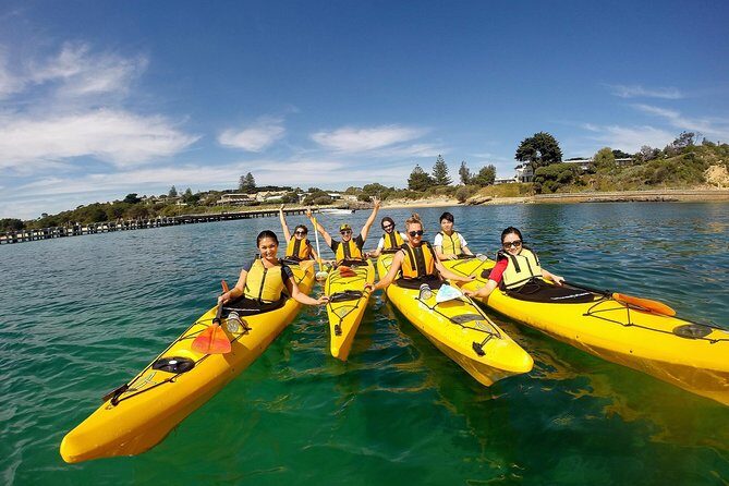 Mornington Peninsula Kayak Coastline Tour of Dolphin Sanctuary - Final Thoughts: Is It Worth It?