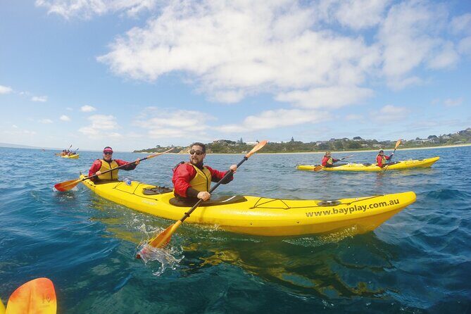 Mornington Peninsula Kayak Coastline Tour of Dolphin Sanctuary - FAQ about the Mornington Peninsula Kayak Coastline Tour