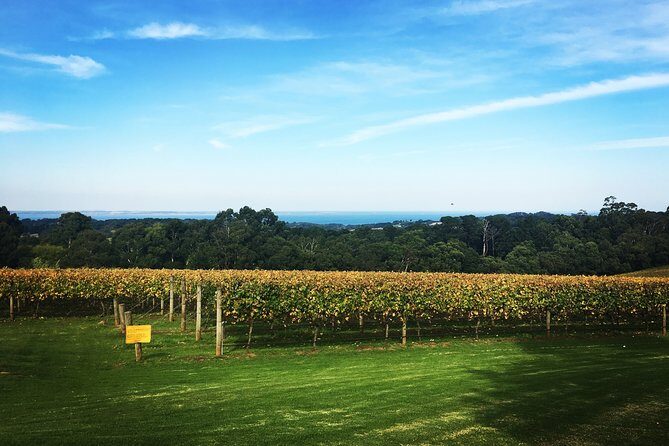 Mornington Peninsula Private Car Winery Tour.1-7 People One Car Price. - A Closer Look at the Itinerary and Highlights