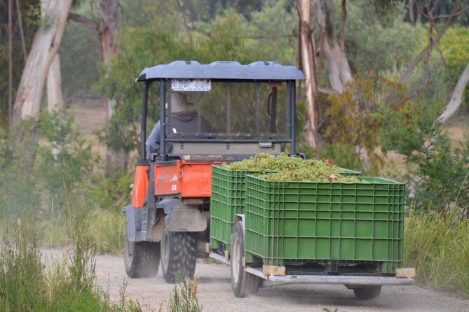 Mornington Peninsula Private Car Winery Tour.1-7 People One Car Price. - FAQs