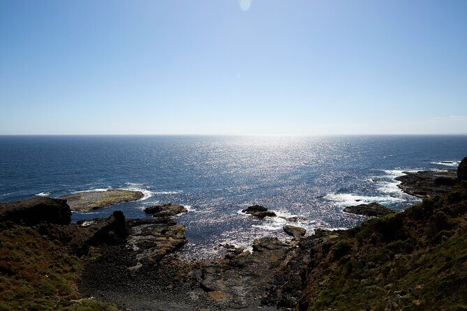 Mornington Peninsula Private Day Tour - Final Thoughts